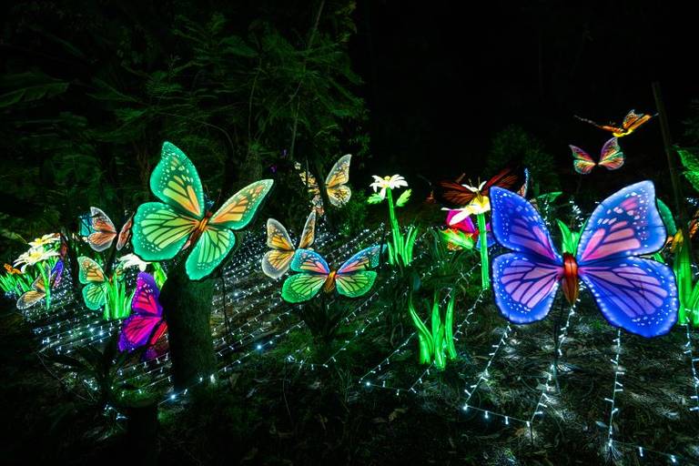 LA Zoo Lights Up With Dazzling Animal Lanterns At 'Animals Aglow'