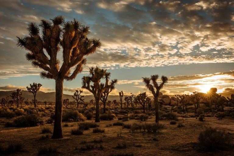 24 Enchanting Small Towns Near Los Angeles