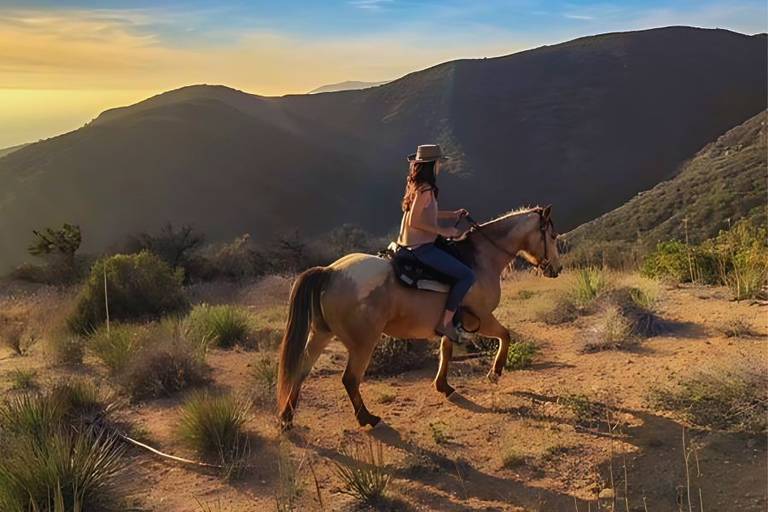 Best Horseback Riding In Los Angeles