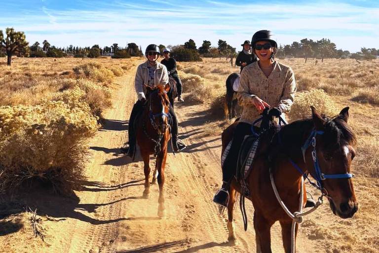 Best Horseback Riding In Los Angeles