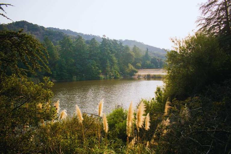 11 Best Lakes In And Near Los Angeles