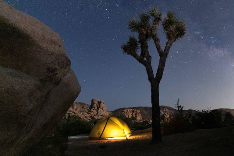 Joshua Tree Braces For Crowds During Perseid Meteor Shower
