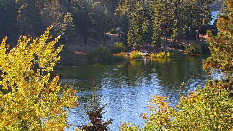 9 Best Places To See Fall Foliage In Los Angeles This Season