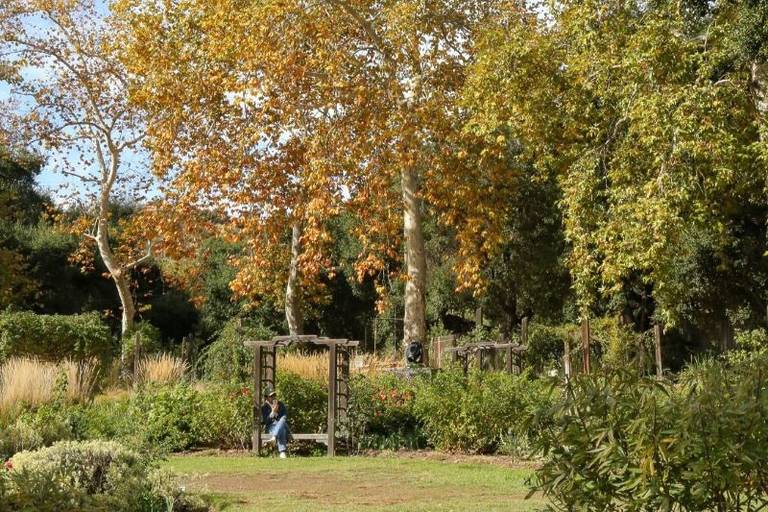 10 majestuosos bosques para explorar cerca de Los Ángeles