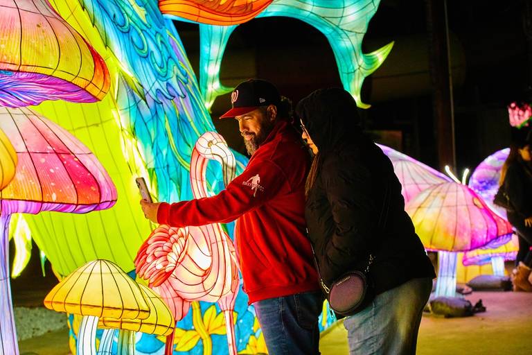 Lektrik Is Bringing 100+ Stunning Light Sculptures To LA