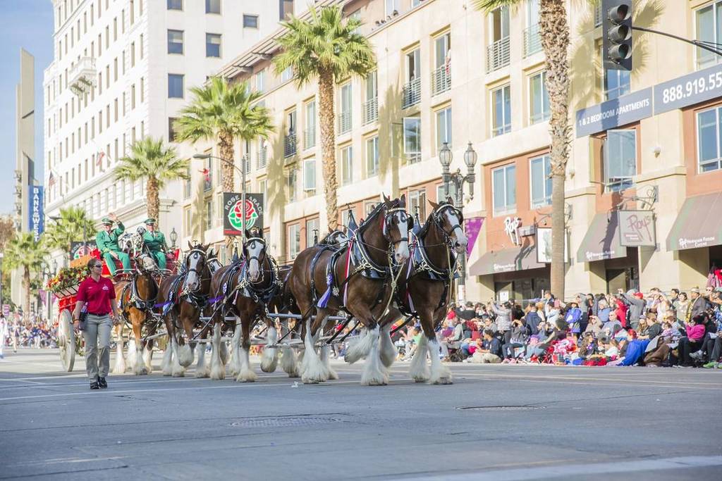 2025 Rose Parade Guide: Attend In Person & Stream Online + Floatfest