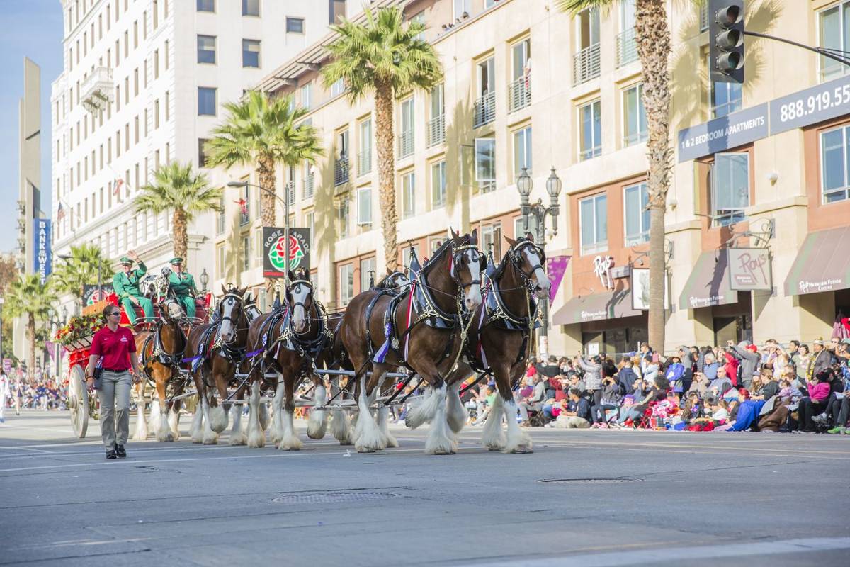 Guide de la Rose Parade 2025 : Assister en personne et suivre en ligne ...