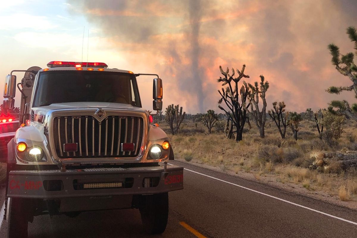 Fire Tornado Hits LA Wildfires: What’s Behind The Phenomenon?