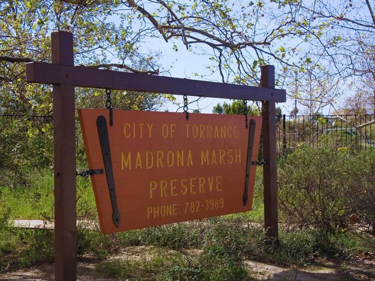 10 Best Places Around Los Angeles To Go Bird Watching