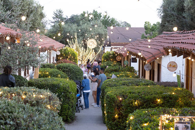 123 Farm's Lavender Festival Illuminates Historic Fields At Night