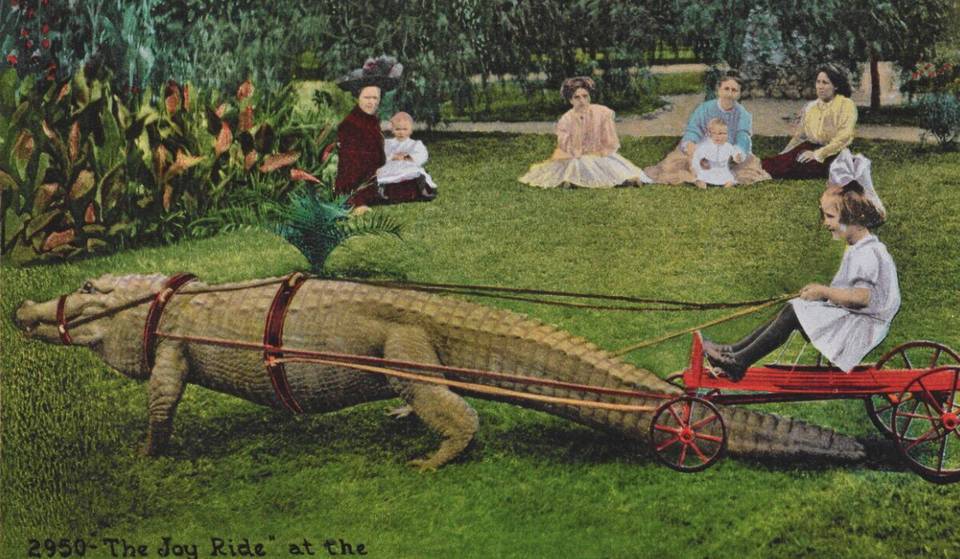 Natural beauty, exercise and wildlife all on LA's doorstep