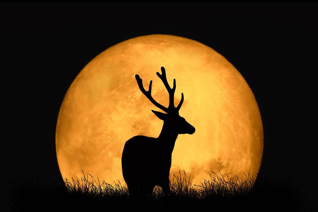 The Mystical 'Buck Moon' Will Light Up L.A.’s Night Sky This Week