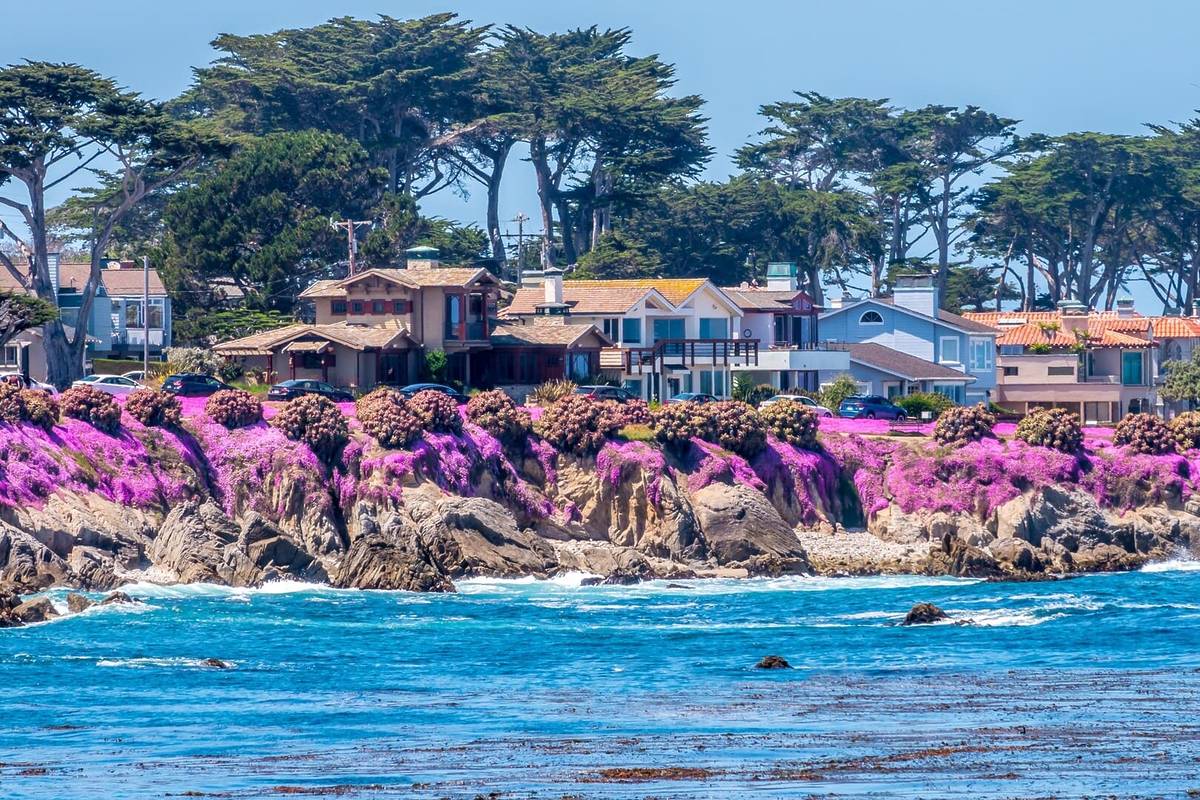Pacific Grove, California Is One Of The Best Small Towns In U.S.
