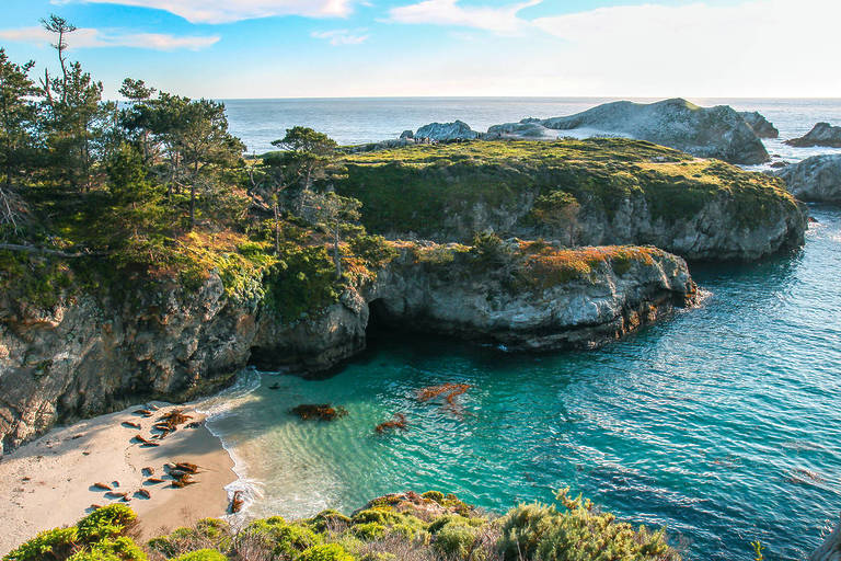 Point Lobos State Natural Reserve Is CA’s Best State Park