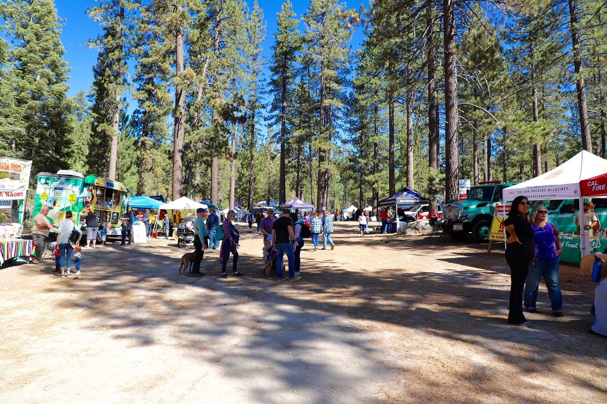 Running Springs 'Pine Cone Festival' 2025 Is A Cute Family Escape