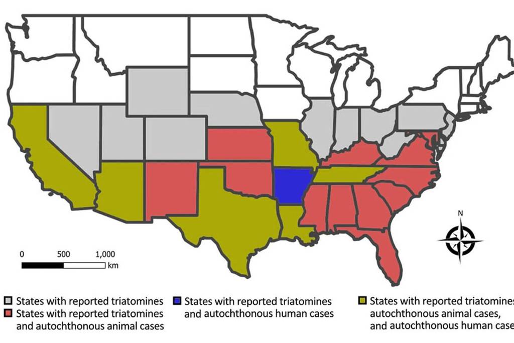 California Leads In ‘Kissing Bug’ Disease Cases Nationwide