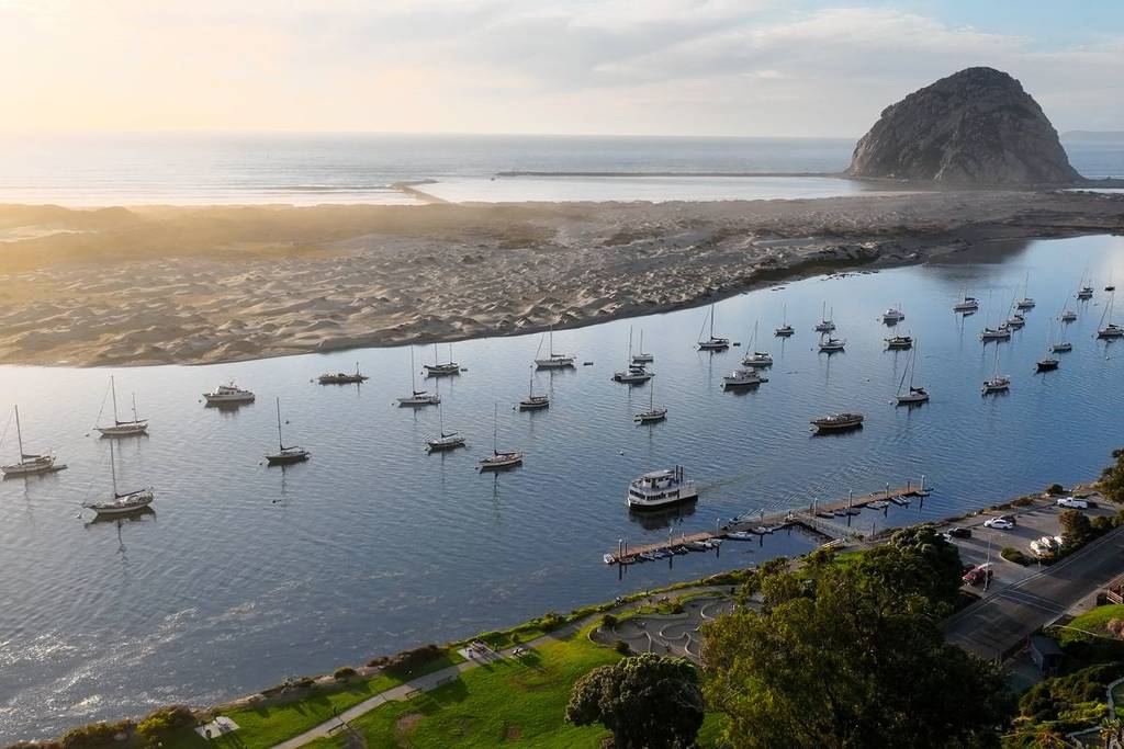 This Beach Town In SoCal Is The Best For Whale Watching