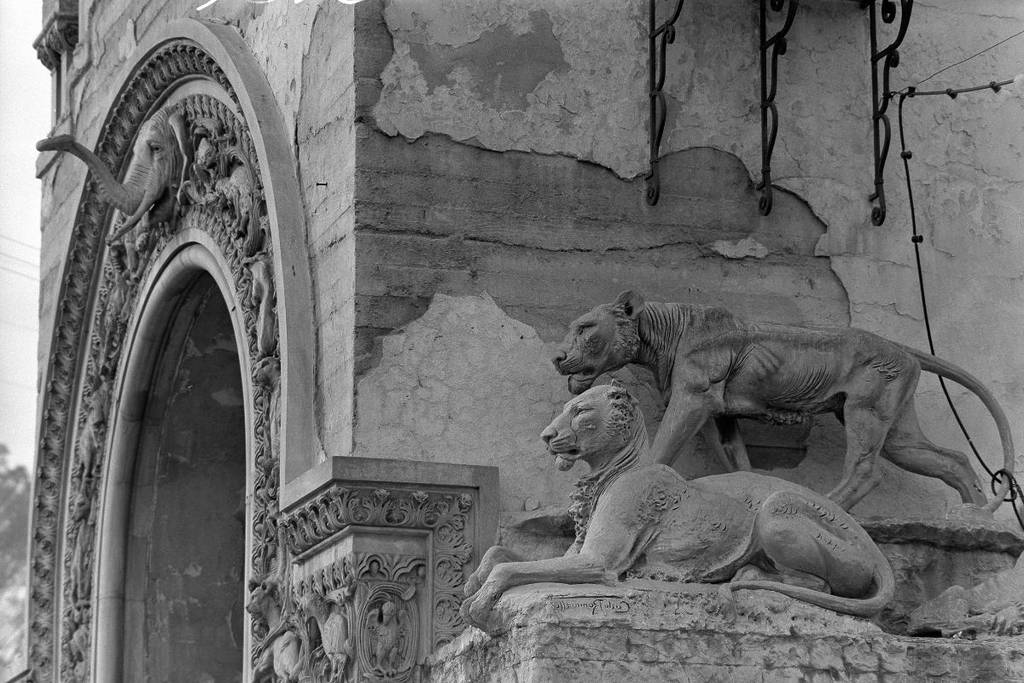 Lincoln Heights Once Hosted The World’s First Zoo For Hollywood Animals ...