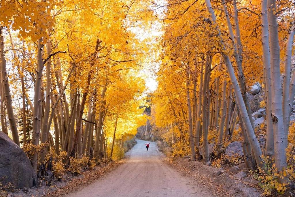 This California Mountain Town Was Named The Best Place To See Fall ...