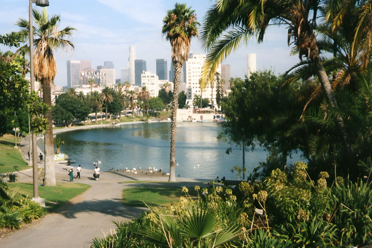 What Really Happened in MacArthur Park Today: The Tensions Nobody Talks ...