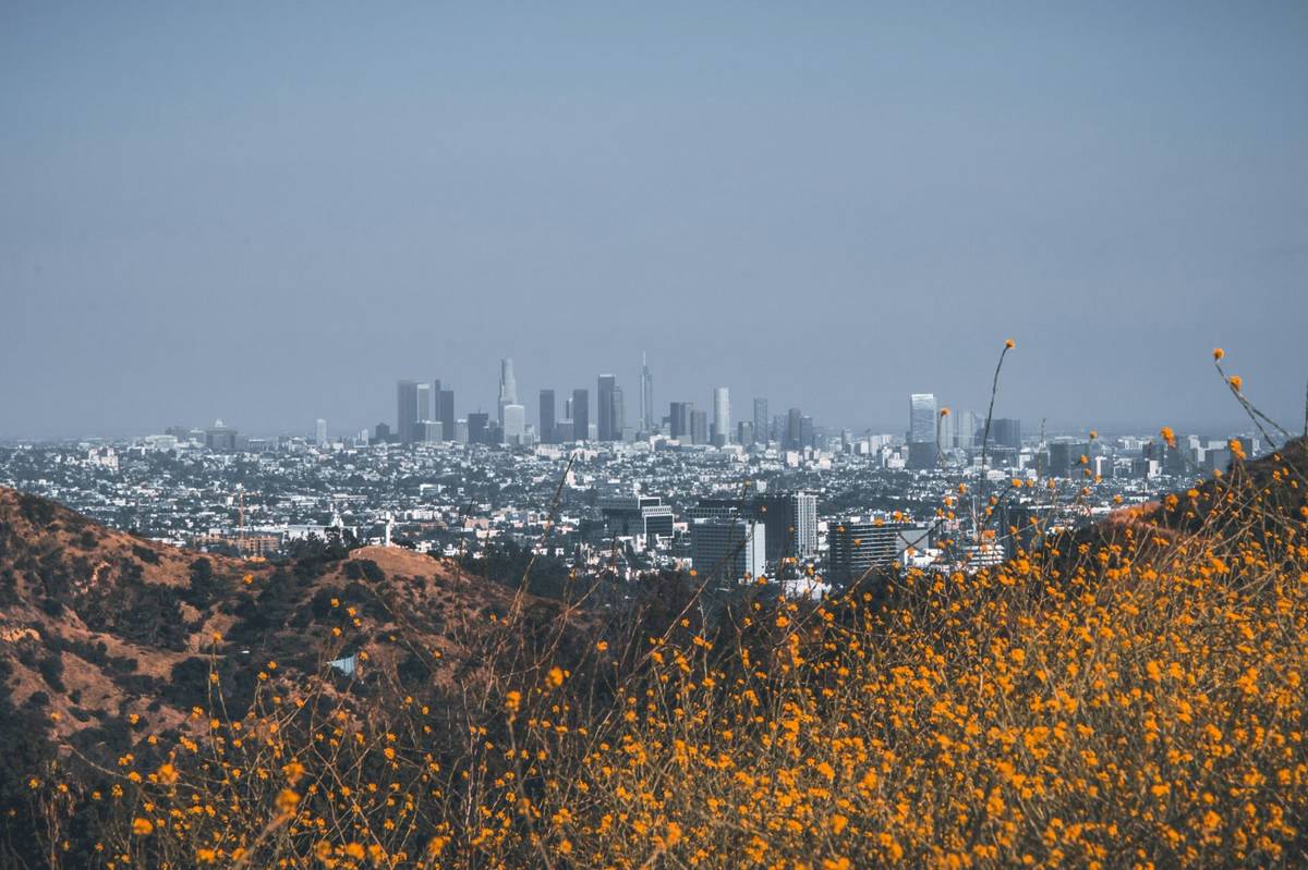 26 Memorable Things To Do In Los Angeles This November 2025