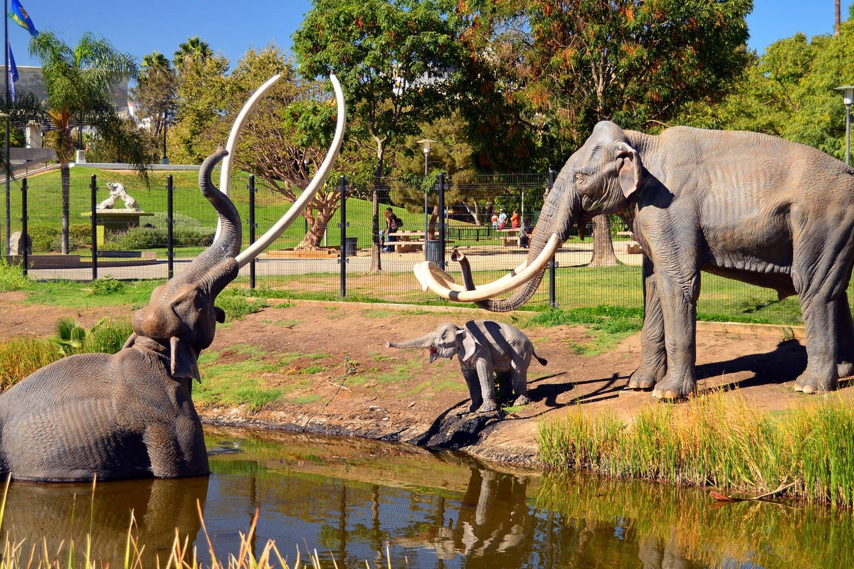 The 'Tar Pit' That Isn't a Tar Pit: This LA Landmark Was an Asphalt Mine Before Hollywood Stepped In