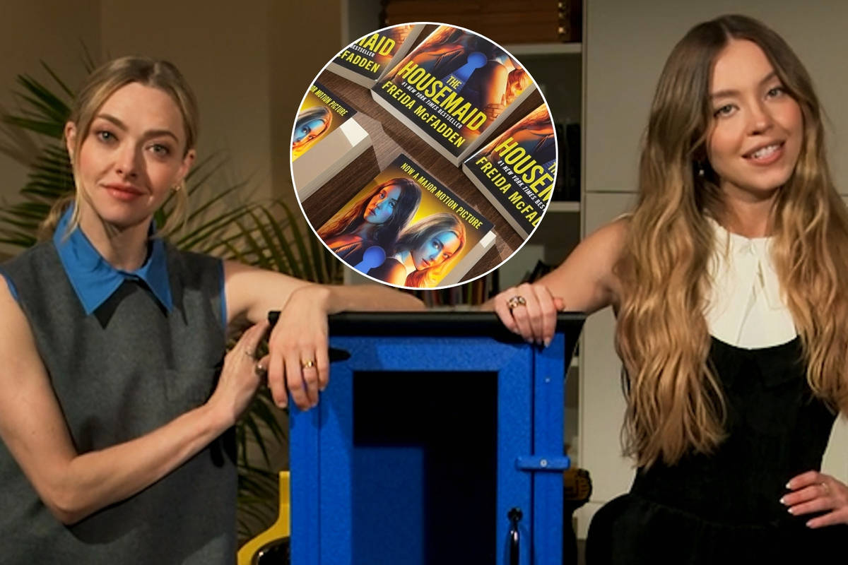 Amanda Seyfried & Sydney Sweeney Built A Little Free Library To Give ...