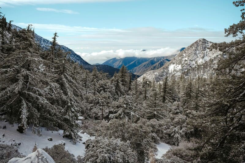 Mount Baldy Offers The Closest Snow Day To L.A. Each Winter