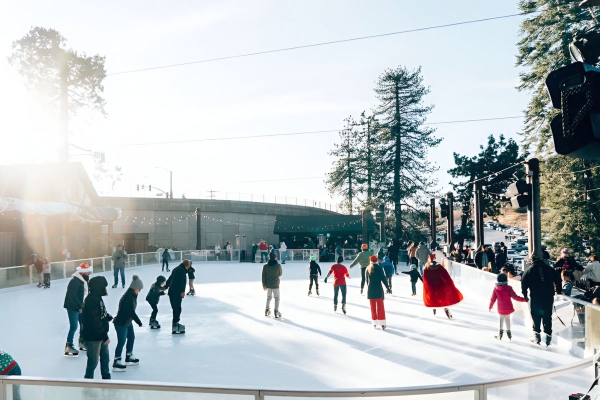 This Whimsical 'Christmas Village' Features An Ice Skating Rink ...