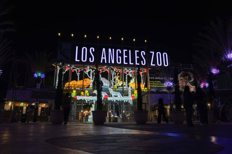 Una alternativa a las luces navideñas: Explora el reino animal del zoo ...