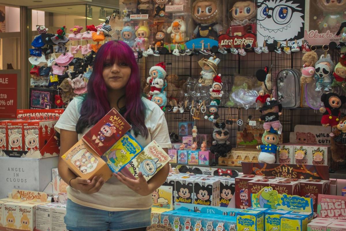 Sophi’s Collectables: San Fernando Valley’s Newest Obsession