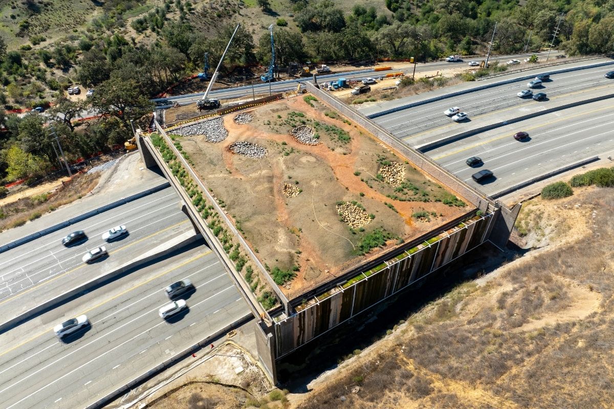 The World’s Largest Wildlife Crossing Gets A New Opening Date As ...