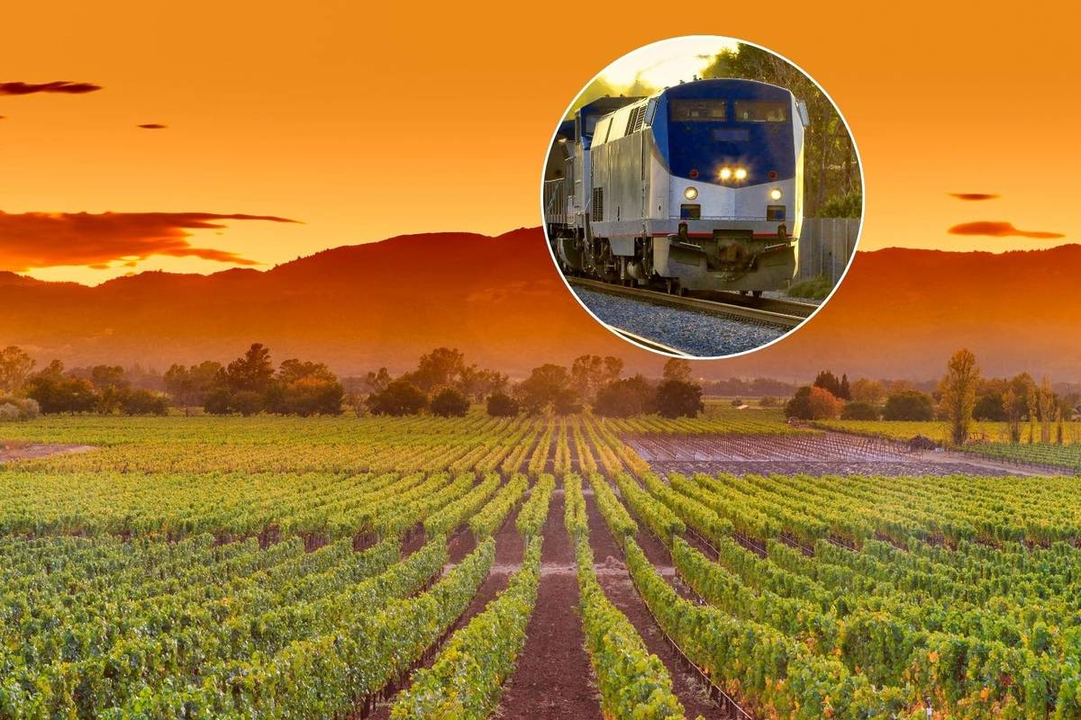 Amtrak's CA Wine Country Trip Hits Every Major Wine Region