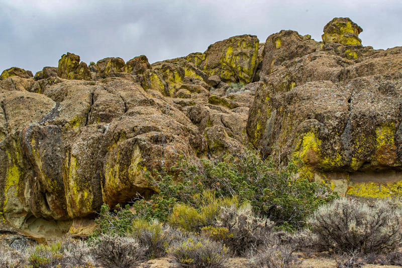 2 Hours From L.A., On A Few Saturdays A Year, Just 15 People Can Visit ...