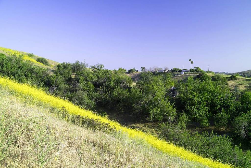 After nearly 2 decades of conservation efforts, this tiny 0.75-mile ...