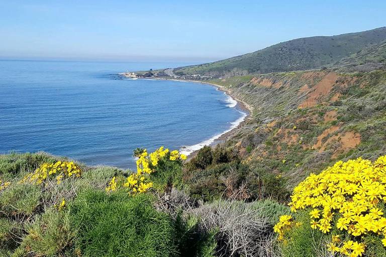 A solo una hora de Los Ángeles, esta playa salvaje y aislada parece ...