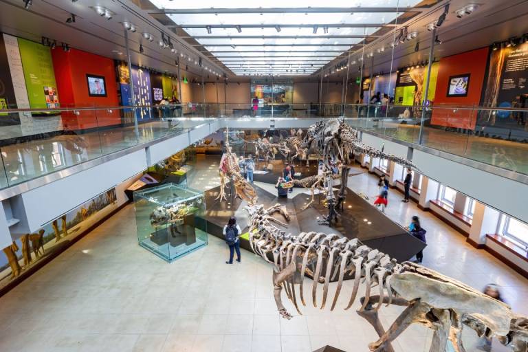 The largest natural history museum on the West Coast is home to the ...