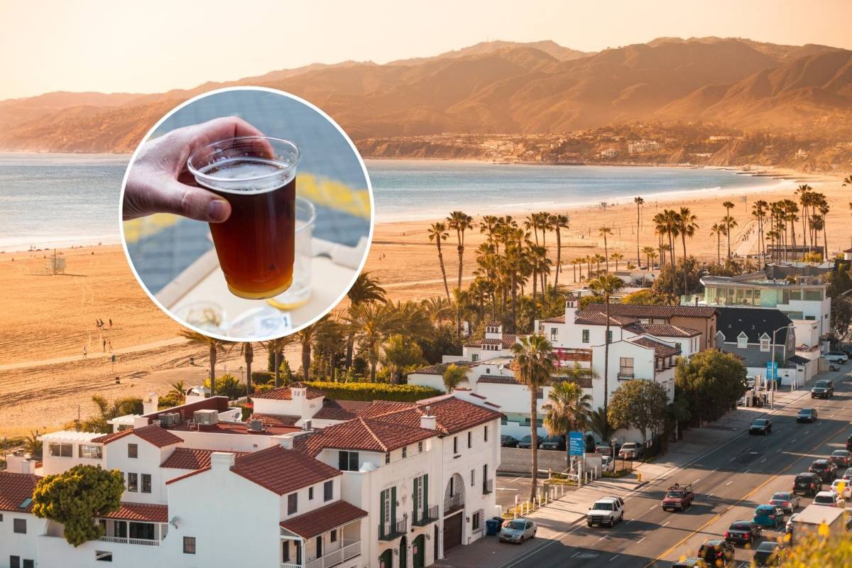 A free, 7-hour block party is taking over Santa Monica's Main Street ...