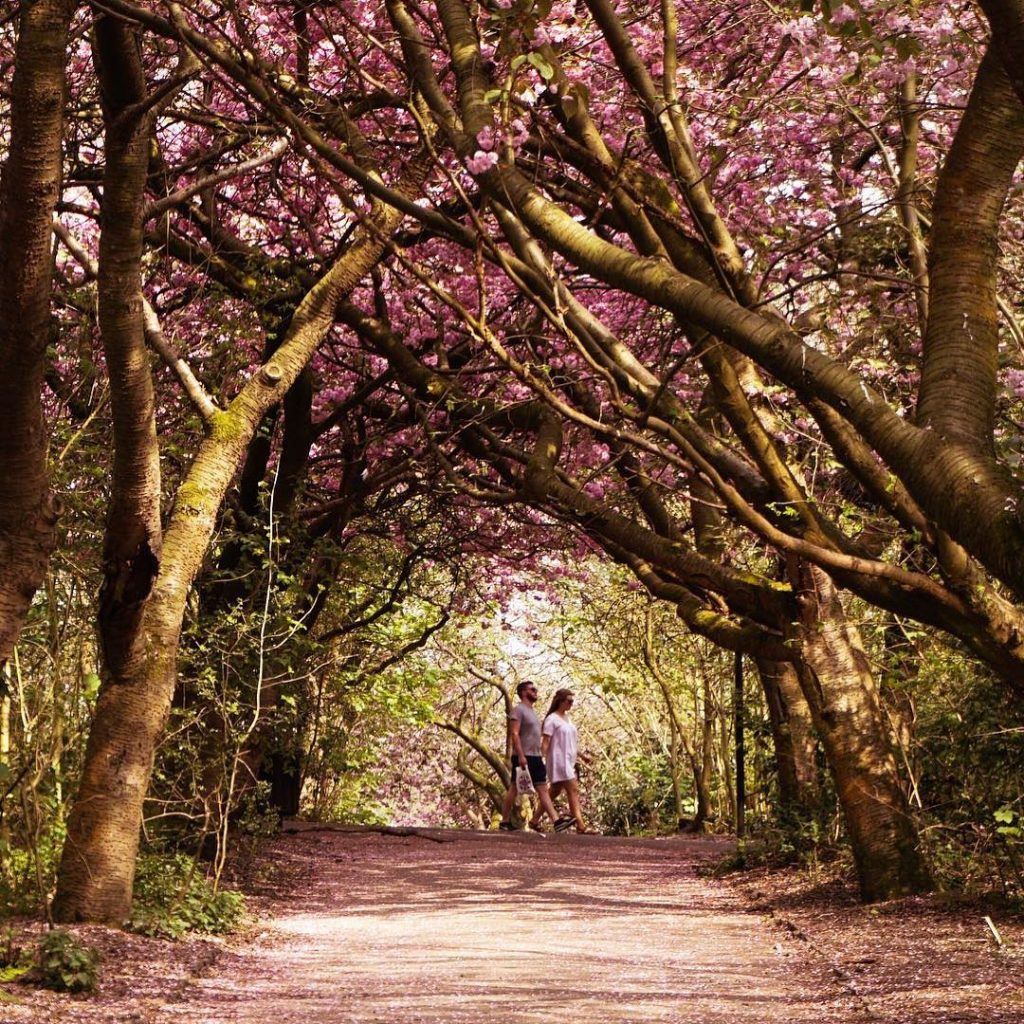 89 Fantastic Free Things To Do In Manchester - Secret Manchester