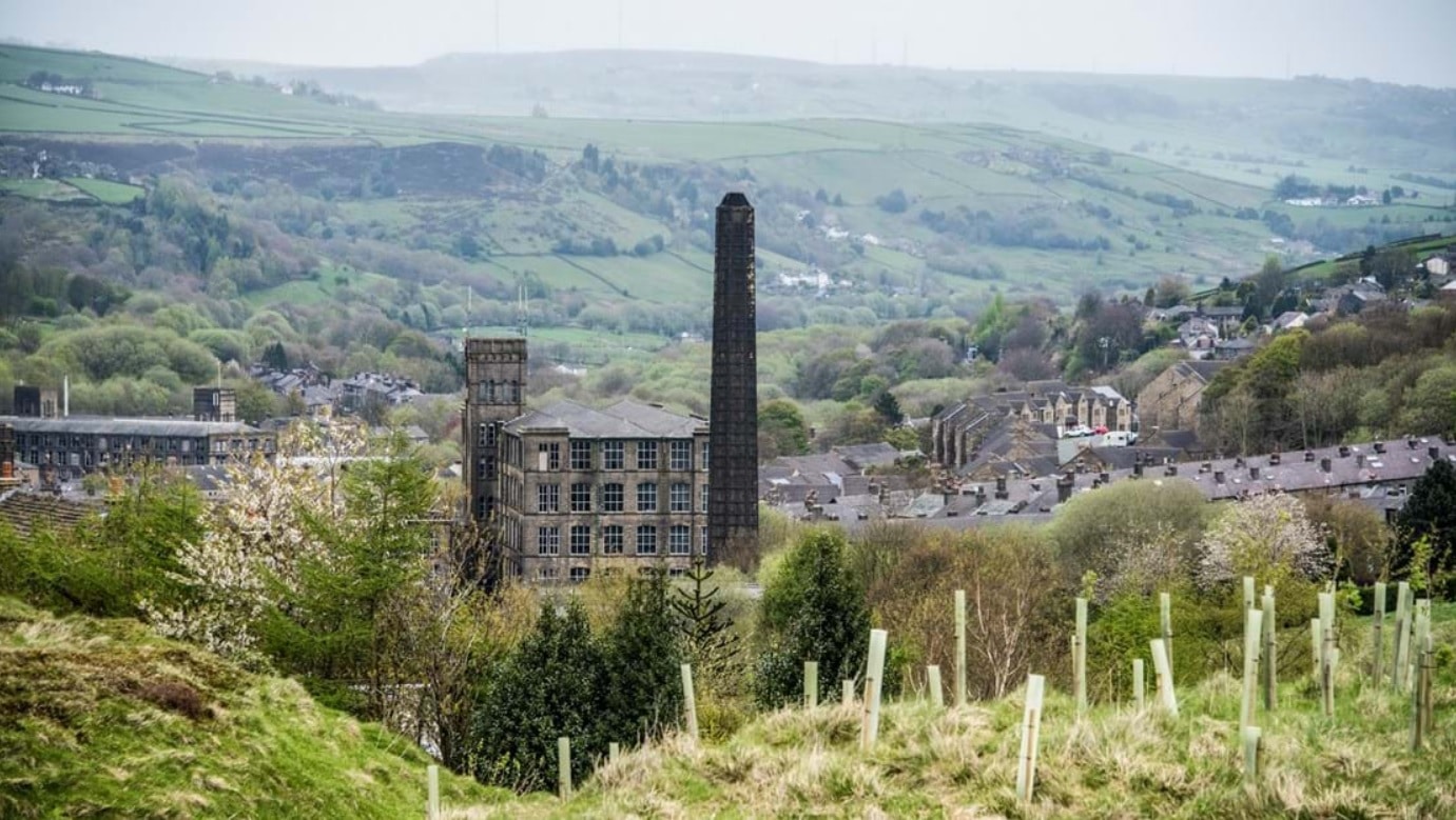 The Northern Forest: 50 Million Tree Project - Secret Manchester