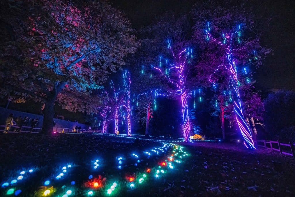 A Christmas Light Trail Will Decorate Castlefield Viaduct This Year