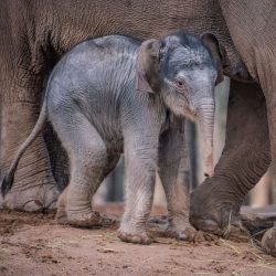 The Best Zoos And Wildlife Parks Near Manchester