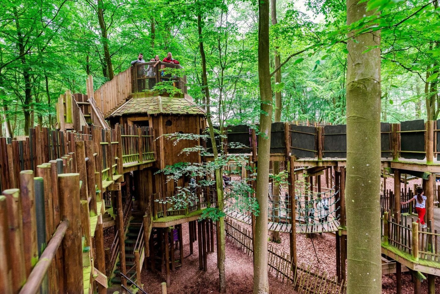 A New Woodland Adventure Park Is Coming To The North West Next Month
