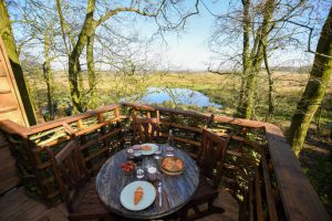 This Hidden Treehouse Two Hours From Manchester Is The Perfect Tranquil ...