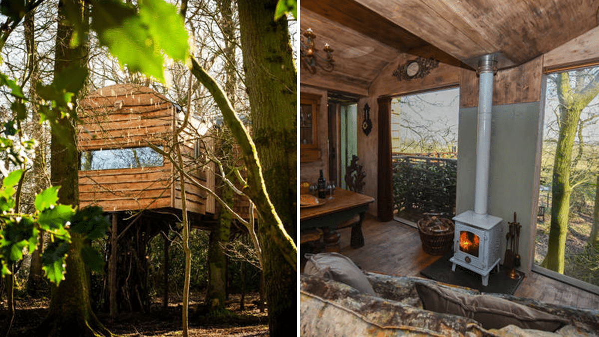 This Hidden Treehouse Two Hours From Manchester Is The Perfect Tranquil ...