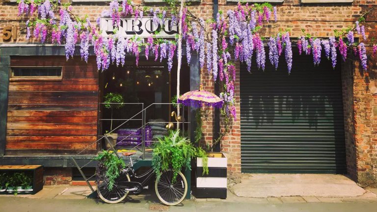 The Best Plant Shops In Manchester To Get Some Green In Your Life