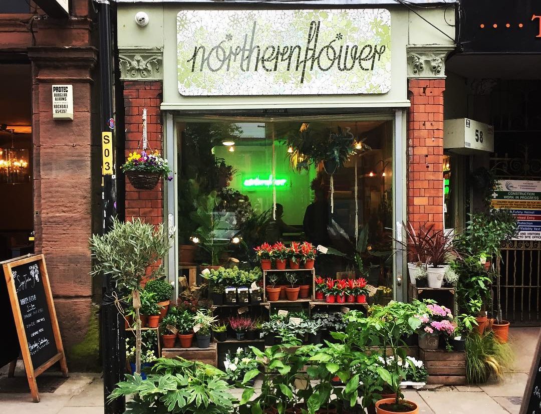 The Best Plant Shops In Manchester - Secret Manchester