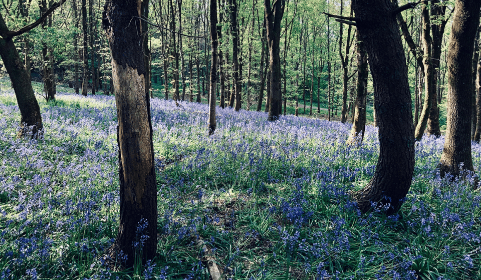 Secret Guide to Manchester: Discover the hidden corners of the city