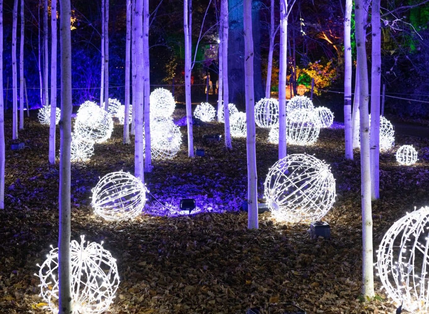 25 Brilliant Things To Do In Manchester This December - Secret Manchester