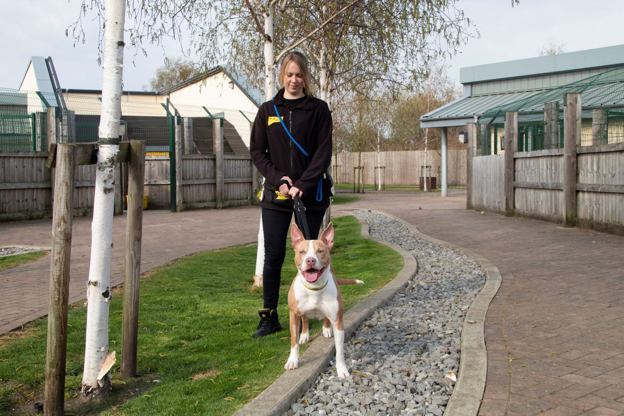 Dogs Trust Urges Mancs To Take A Chance On Older Dogs As Puppy Demand ...